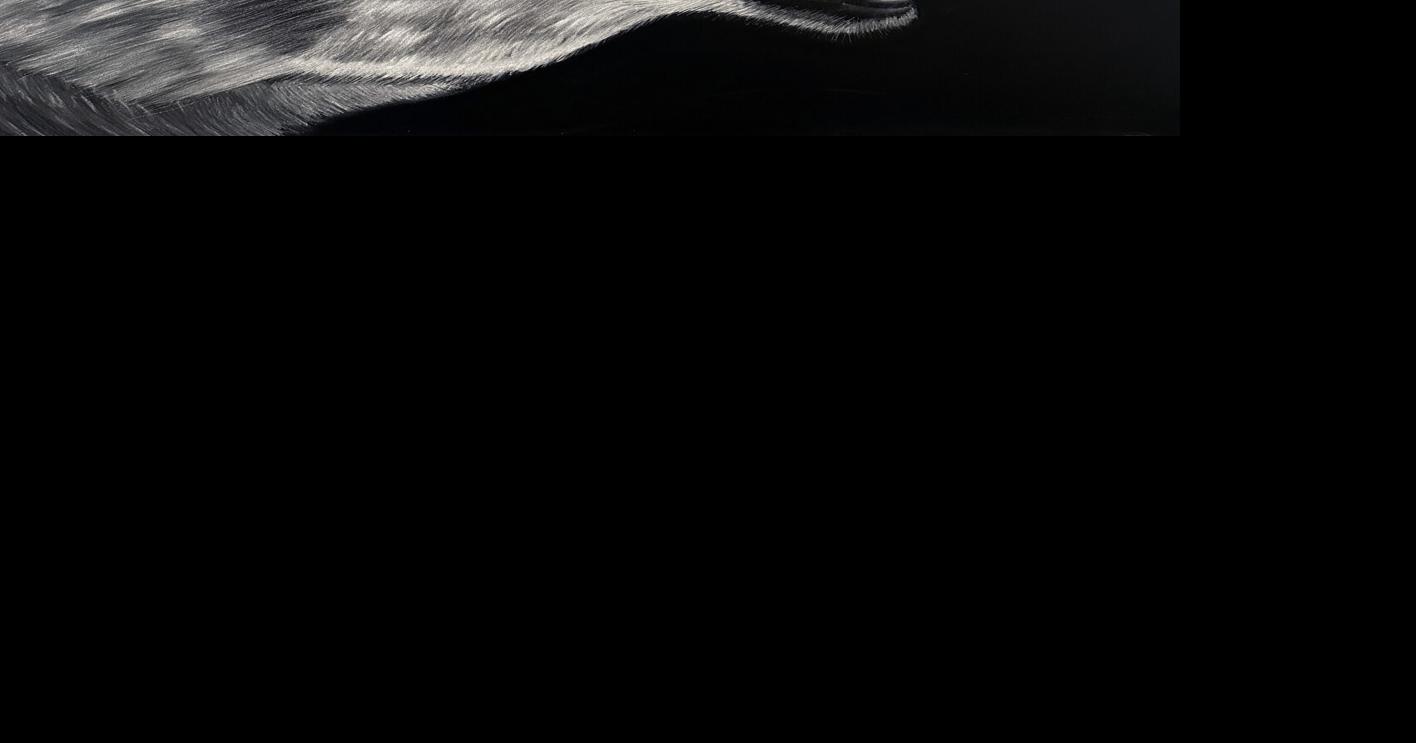 Art Exhibits: What's on display in the Fort Wayne area | Local Arts ...