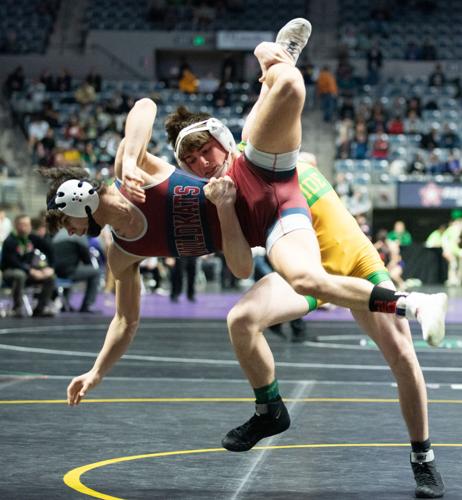 Wrestling semistate: Area pair couple milestone wins with titles ...