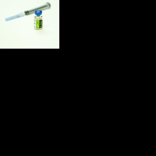 Leptospirosis vaccine may save dog's life | Living | journalgazette.net