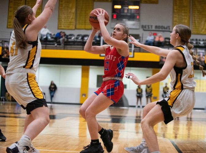 Friday Gallery: Whitko defeats South Adams in Class 2A sectional ...