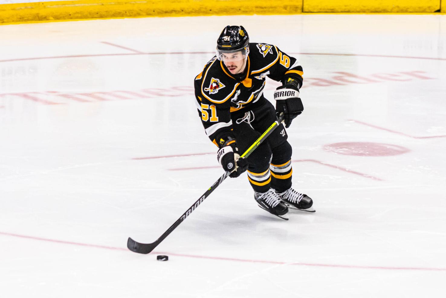 Mistakes galore: Former Komets players tearing it up in ECHL playoffs ...