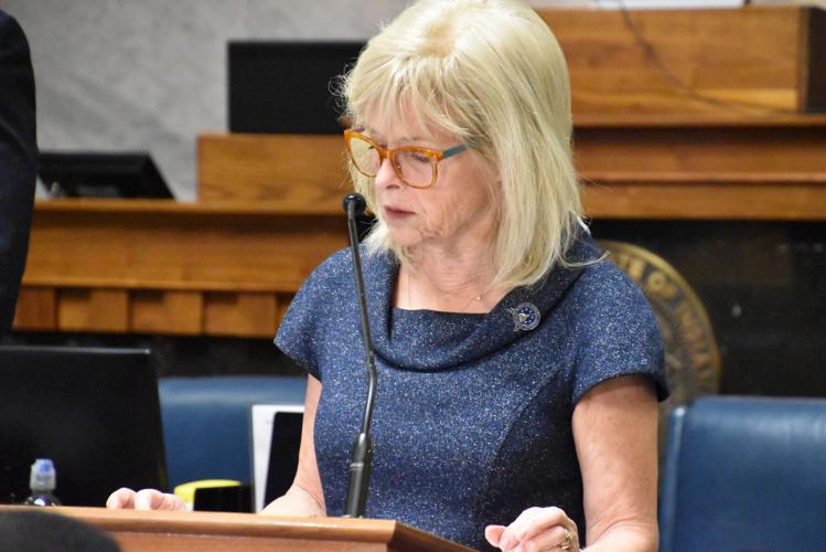 Confusing committee hearing ends with passage of 'material harmful to ...