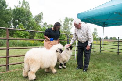 New animals at Solomon Farm Park | Local | journalgazette.net