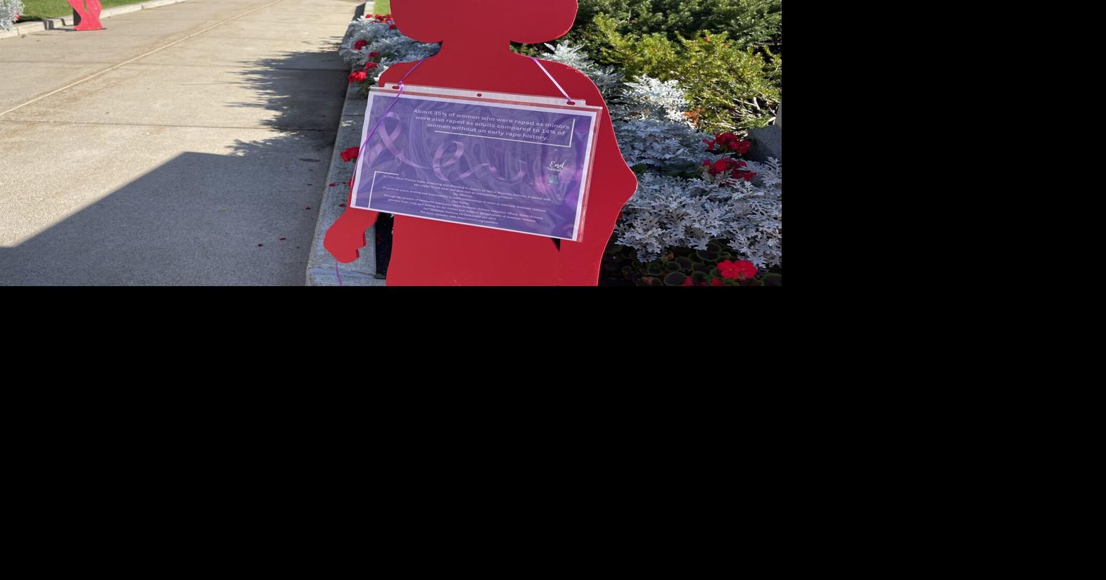 Courthouse Green display shows realities of domestic violence | Police ...