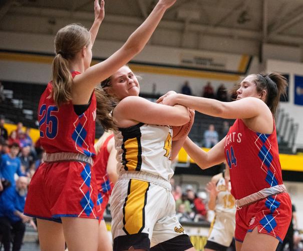 Friday Gallery: Whitko defeats South Adams in Class 2A sectional ...