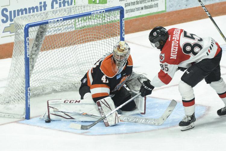 Komets vs Cincinnati gallery | Photo Galleries | journalgazette.net