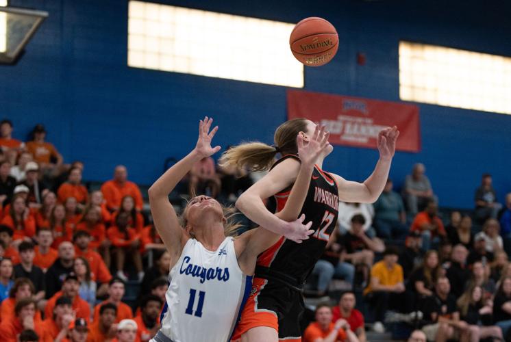 Indiana Tech defeats Saint Francis to advance in NAIA Women’s ...
