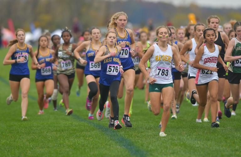 Homestead, Concordia girls go 1-2 at cross country state finals | High ...