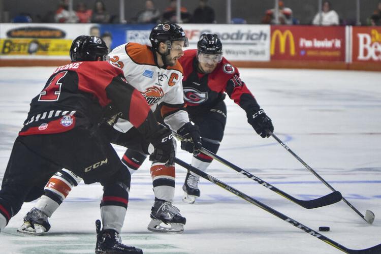 Komets vs Cincinnati Sunday gallery | Photo Galleries | journalgazette.net