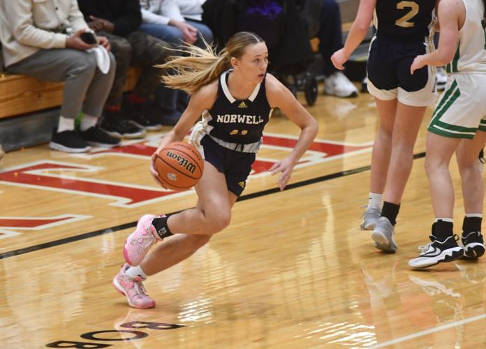 Norwell, Bishop Luers girls punch tickets to state finals | High Schools | journalgazette.net