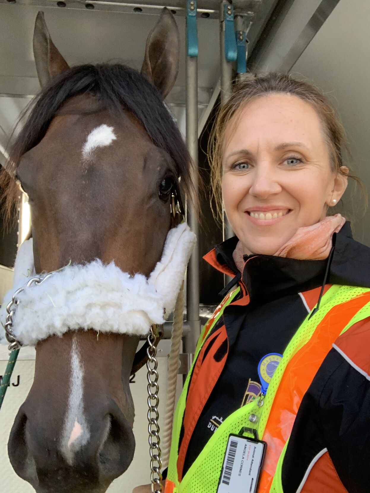 Lifelong love of horses takes Fort Wayne native up in the air ...