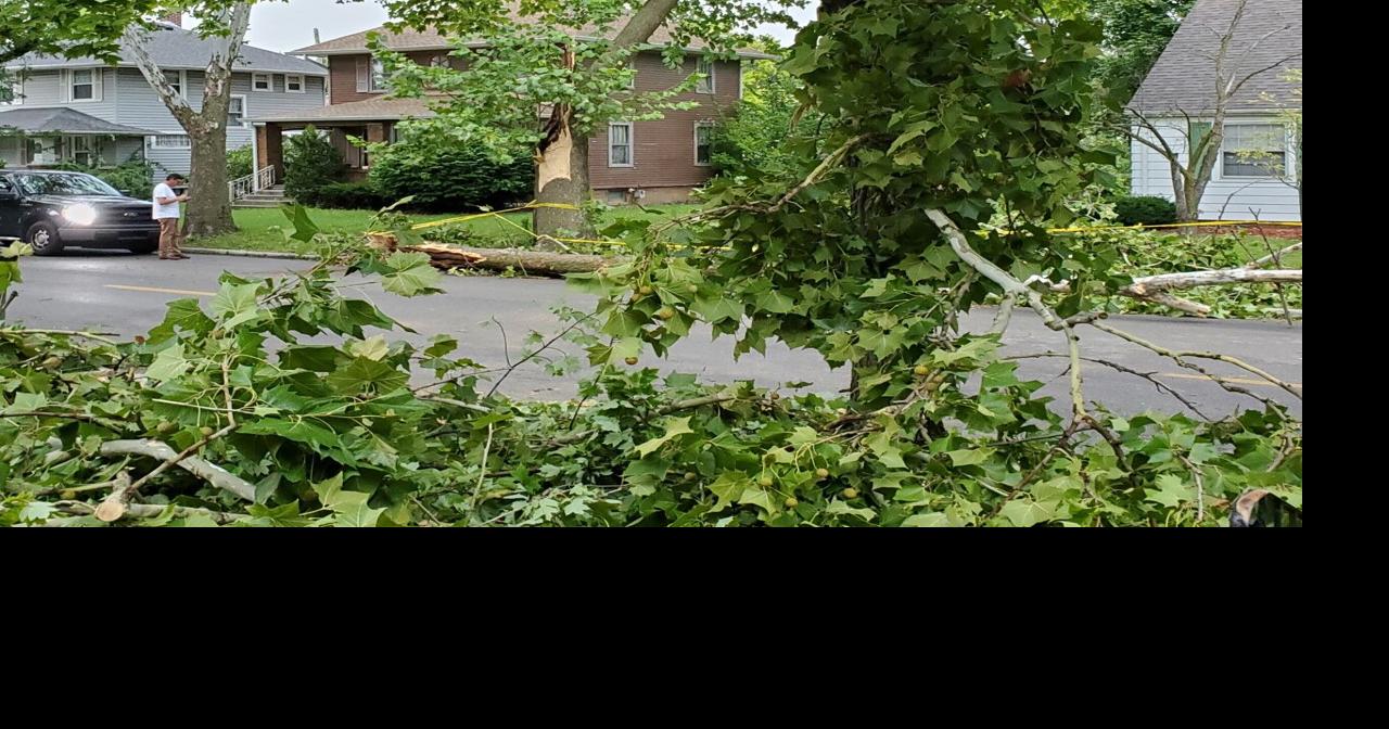 Storm damage on McKinnie Avenue in Fort Wayne | Local | journalgazette.net