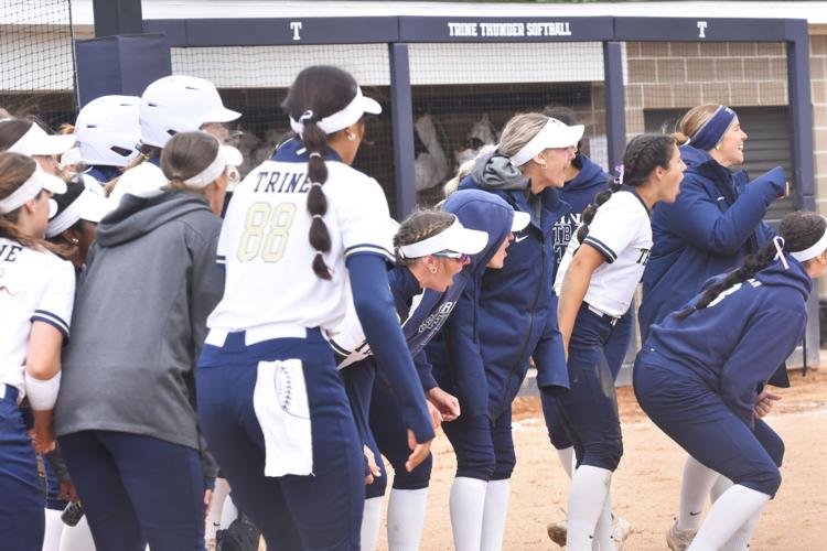 Homer lifts Trine softball to another MIAA Tournament title | Local ...