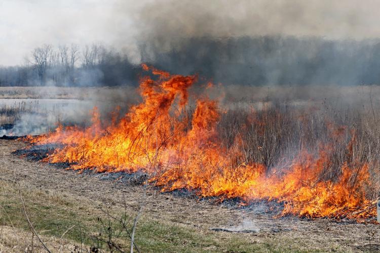 Controlled burn at Eagle Marsh | Local | journalgazette.net