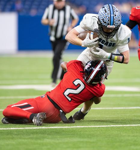 Bishop Luers rally falls short in Class 3A state title game | High Schools | journalgazette.net