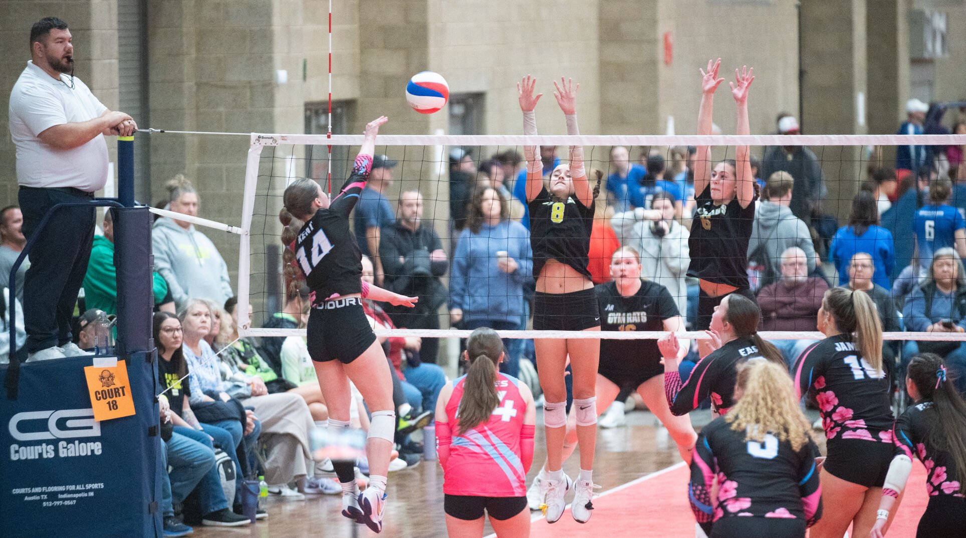 Fort Wayne MLK Volleyball Challenge | | journalgazette.net