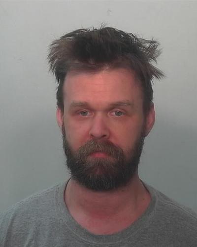 Michigan man gets 43 years in molesting case | Courts | journalgazette.net