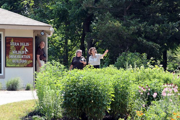 Fox Island in Allen County partially reopens after 2-year closure ...