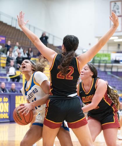 Saturday Gallery: Homestead defeats McCutcheon for Class 4A Regional ...