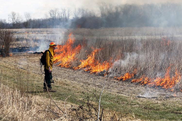 Controlled burn at Eagle Marsh | Local | journalgazette.net