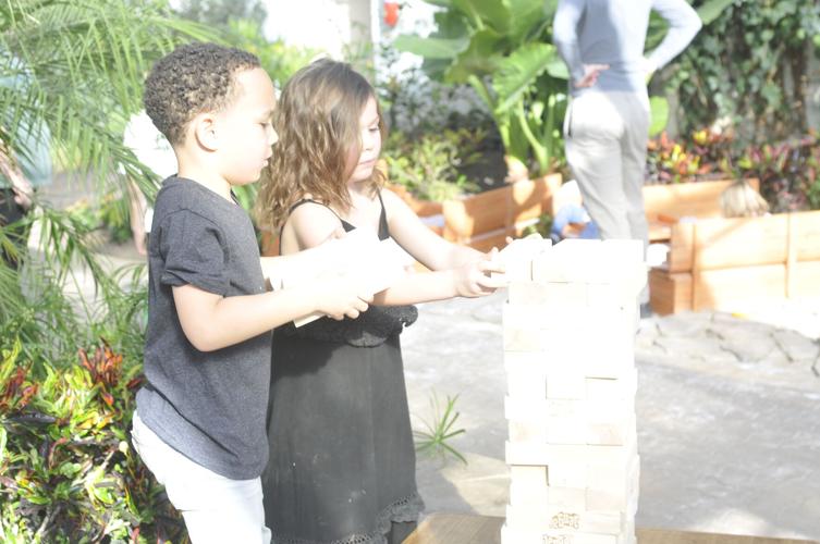 Botanical Conservatory exhibit California Dreamin' brings summer to the ...