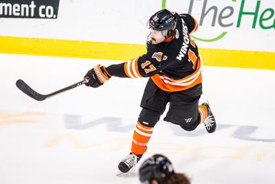 Komets dealt blow as Winquist, high-scoring forward, leaves to skate ...