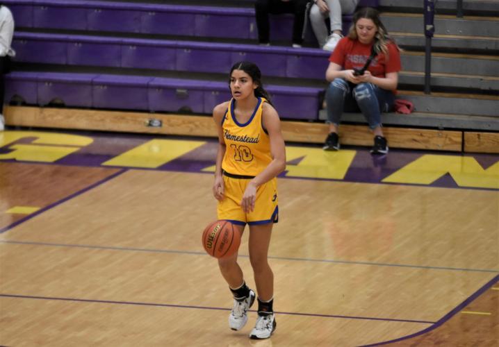 Saturday Gallery: Girls Basketball Regionals, Homestead vs. Fishers ...