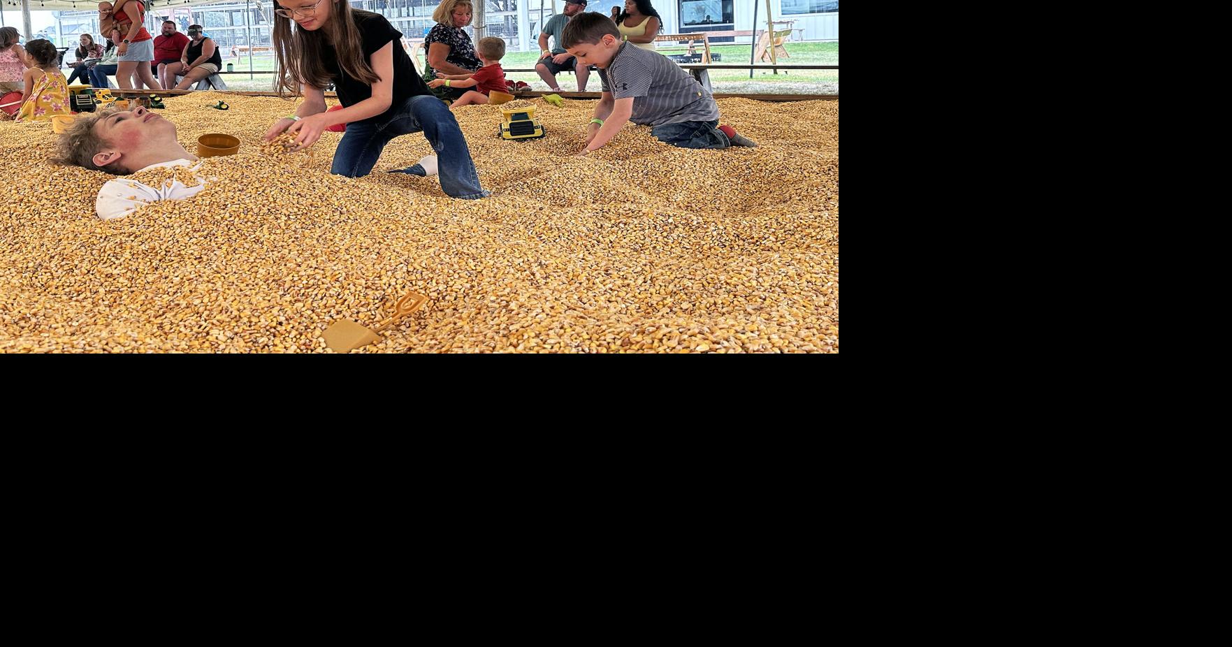 Fall festival at Kuehnert Dairy Farm | Local | journalgazette.net