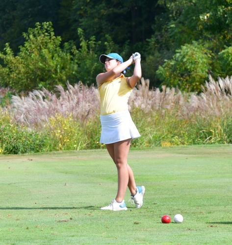 Homestead shoots 290 at Noble Hawk to win 2023 East Noble Girls Golf ...