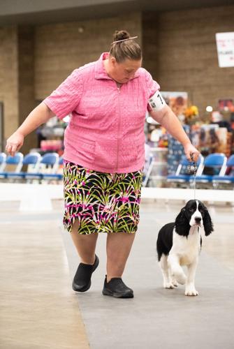 Old Fort Cluster Dog Show | Local | journalgazette.net