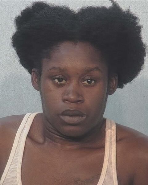 Court docs: Woman says she was distracted when she ran red light ...