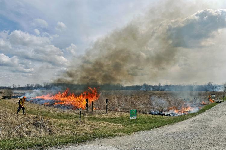 Controlled burn at Eagle Marsh | Local | journalgazette.net