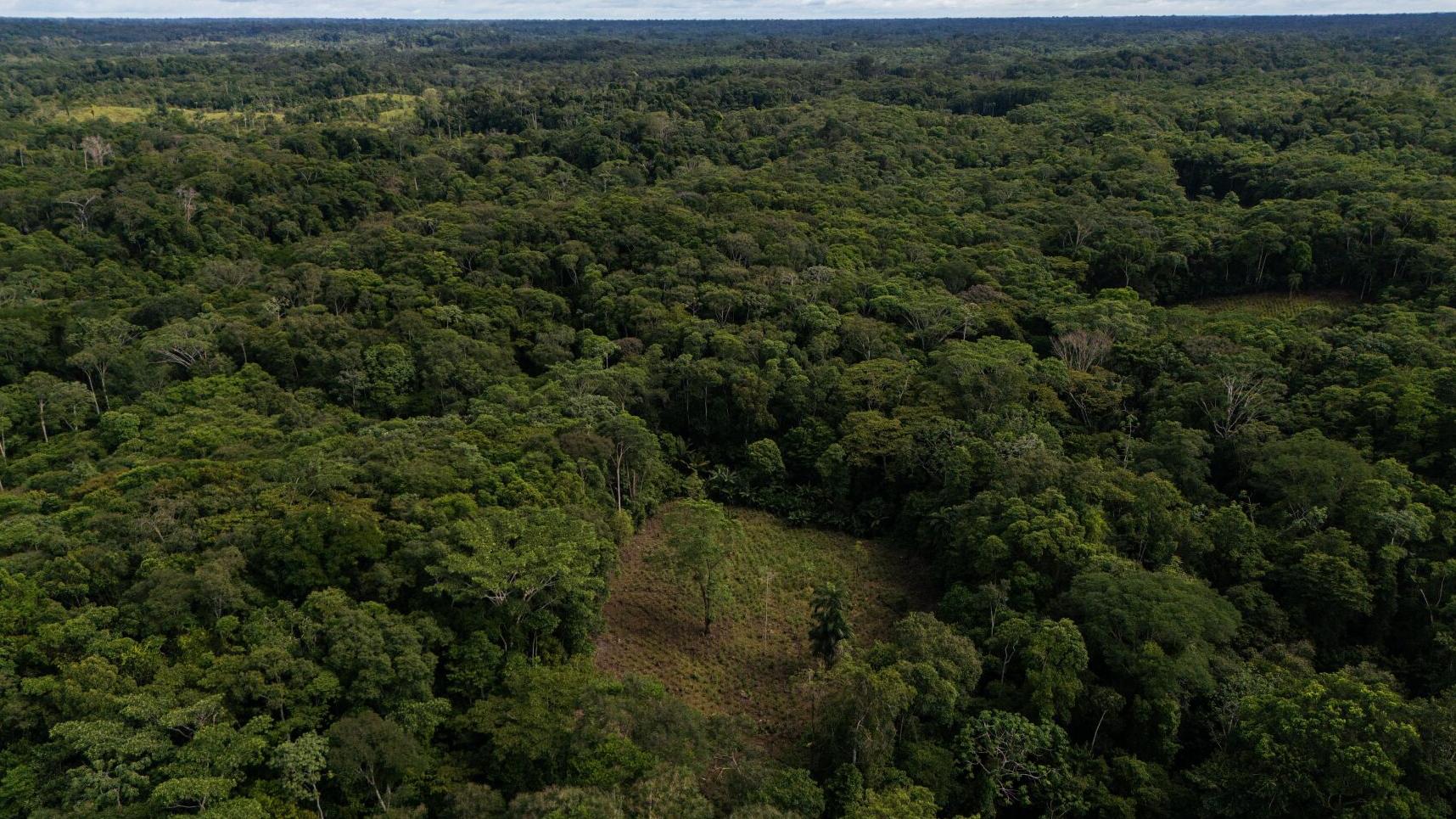 Colombia will use drones to destroy coca crops as it grapples with ...
