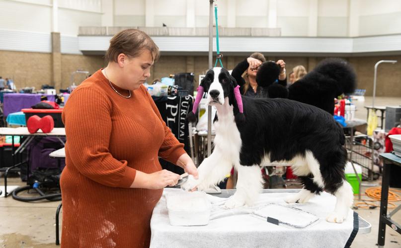 Old Fort Cluster Dog Show | Local | journalgazette.net