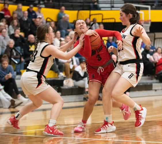 Bishop Luers girls prepare for trip to the state finals | High Schools ...