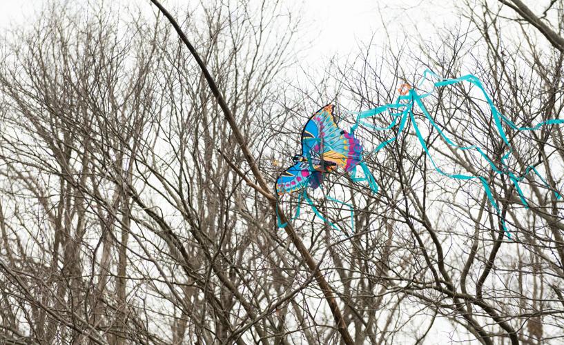 Flying high at Franke Park | Local | journalgazette.net
