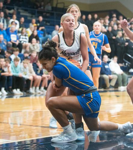Norwell girls take down No. 1 Homestead | High Schools | journalgazette.net