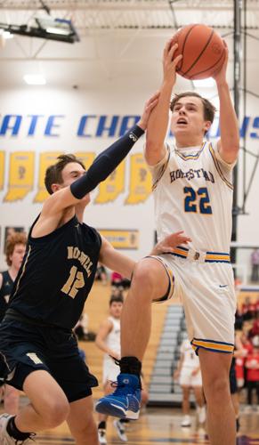 Friday Gallery: Homestead falls to Norwell in overtime at home ...