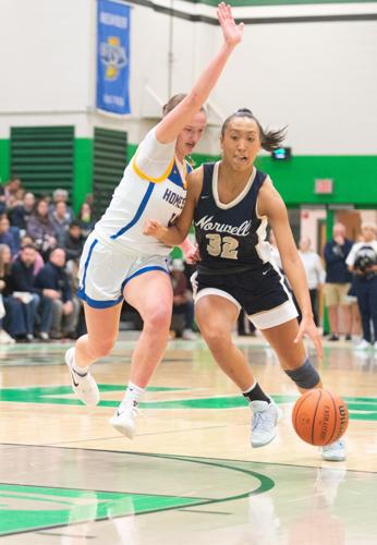 Norwell upsets Homestead to win South Side Sectional title | High ...