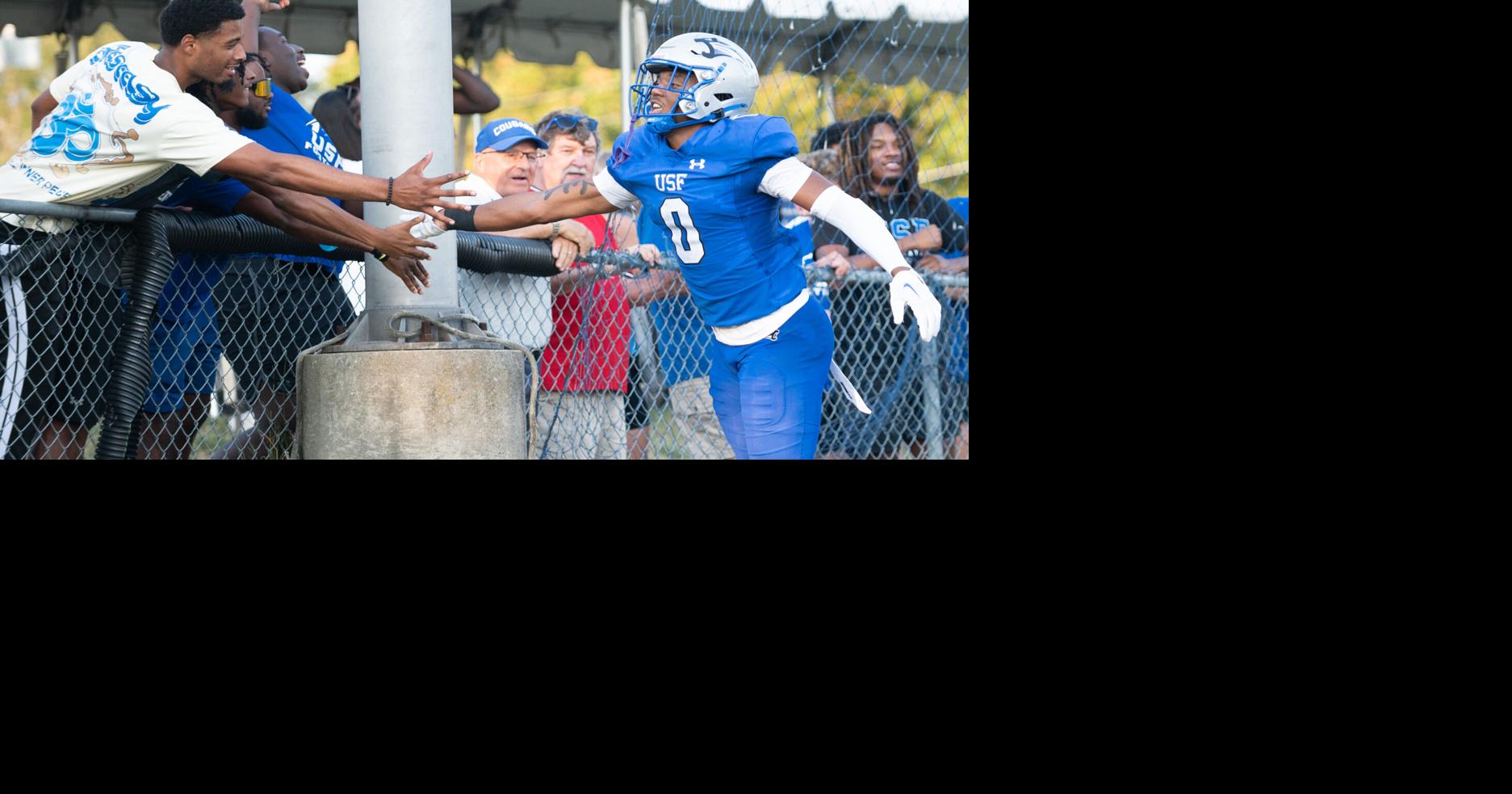 Saturday Gallery: Saint Francis defeats Defiance in home opener at ...