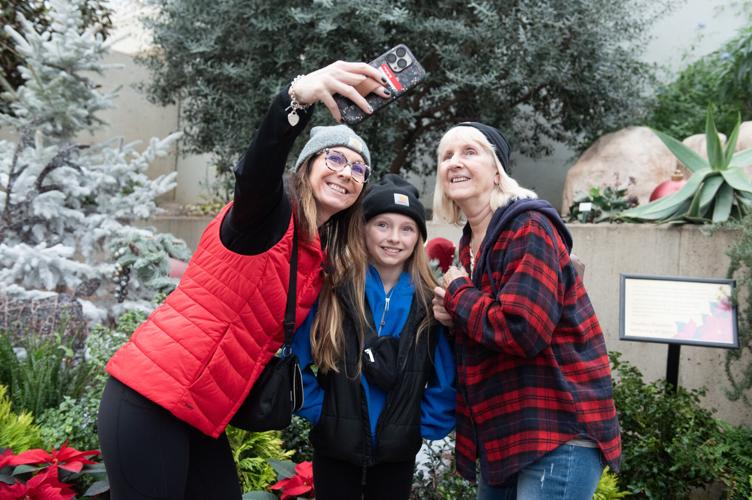 Botanical Conservatory sees uptick in visitors to holiday exhibit ...