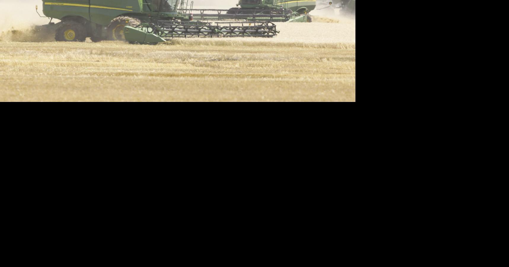 More Hoosier farms plant cover crops, but water still polluted ...