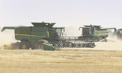 More Hoosier farms plant cover crops, but water still polluted ...