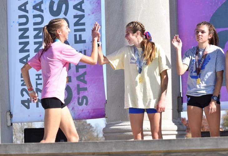 5 to Watch: Girls Cross Country | Sports | journalgazette.net