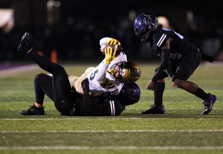 Leo outruns Bishop Dwenger for first sectional title since 2011 | High ...