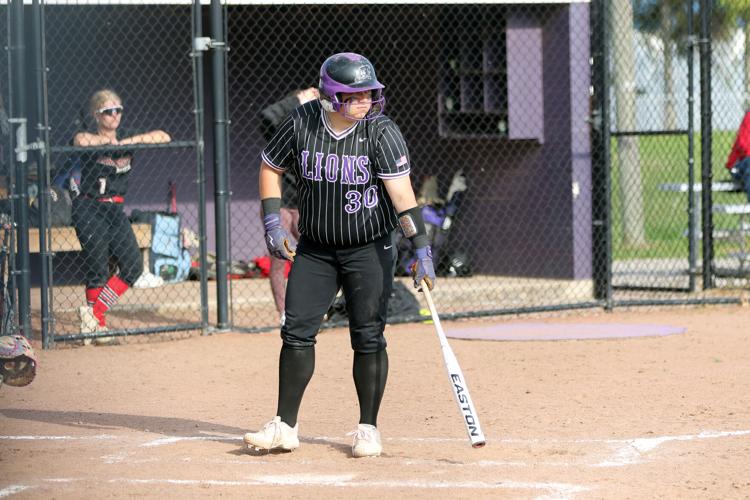 Leo scores seven unanswered runs against Huntington North, takes sole ...