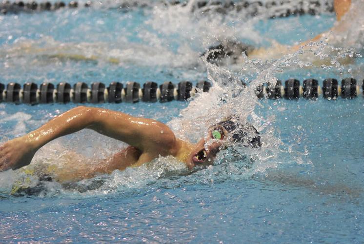 Saturday Gallery: 2019 Norwell Swim Invitational | Photo Galleries ...