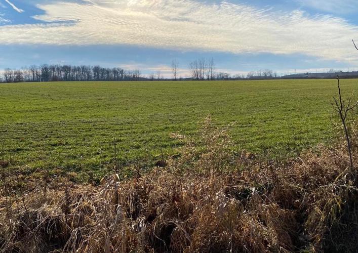 Sunnymede residents oppose jail next to quiet neighborhood | Local ...