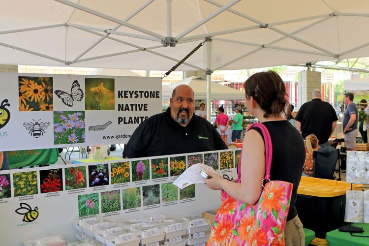 Eco Fest brings sustainable fun to Headwaters Park | Downtown ...
