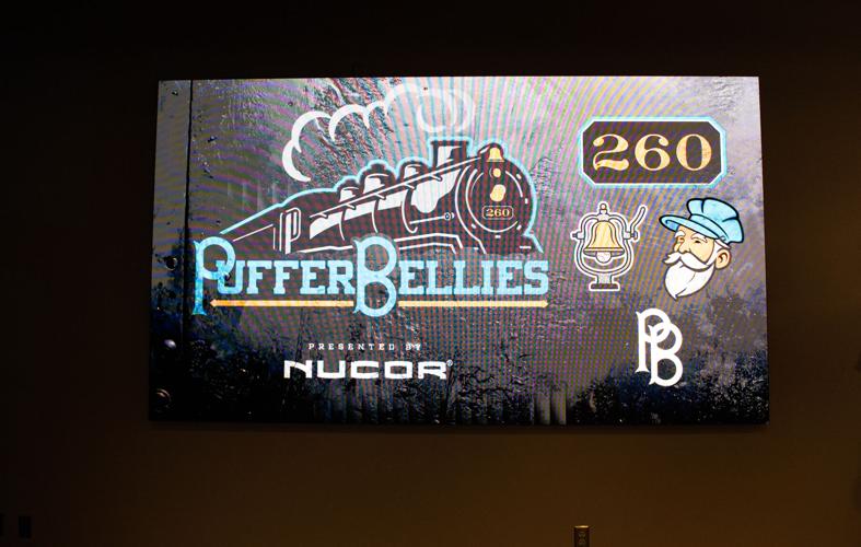 TinCaps new alt-identity, the PufferBellies, unveiled | TinCaps ...